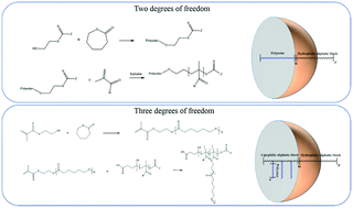 Strategies to combine ROP with ATRP or RAFT polymerization for the ...