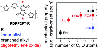 Effects of flexibility and branching of side chains on the mechanical ...