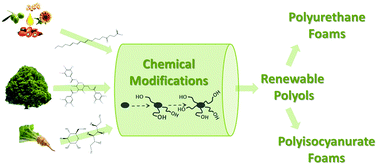 Renewable polyols for advanced polyurethane foams from diverse biomass ...