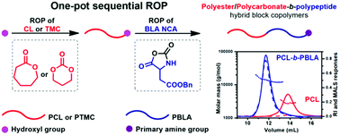 Hybrid block copolymers of polyesters/polycarbonates and polypeptides ...