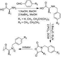 Schiff base and reductive amination reactions of α-amino acids: a ...
