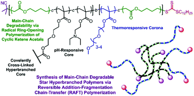Main-chain degradable star polymers comprised of pH-responsive ...
