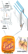Unlocking the action mechanisms of molecular nonlinear optical ...