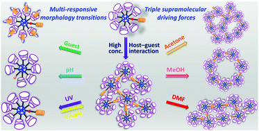 Fabrication of POSS-embedded supramolecular hyperbranched polymers with ...