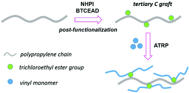 Regioselective post-functionalization of isotactic polypropylene by ...