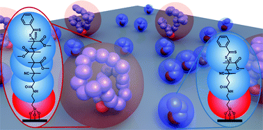 The long and the short of polymer grafting - Polymer Chemistry (RSC ...