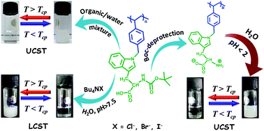 Tryptophan-based styryl homopolymer and polyzwitterions with solvent ...