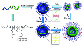 Intelligent CO2- and photo-dual-responsive polymer vesicles with ...