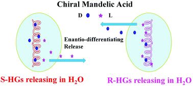 Chiral, thermal-responsive hydrogels containing helical hydrophilic ...