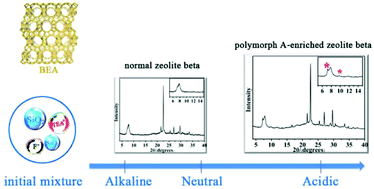 Identification of the key factor promoting the enrichment of chiral ...