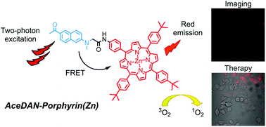 An AceDAN–porphyrin(Zn) dyad for fluorescence imaging and photodynamic ...