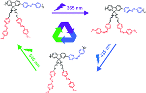 Design and synthesis of a novel azobenzene-containing polymer both in ...