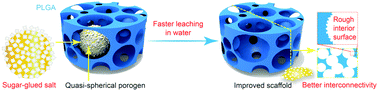Design and preparation of quasi-spherical salt particles as water ...