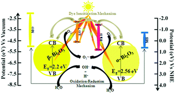 Phase-controlled synthesis of bismuth oxide polymorphs for ...