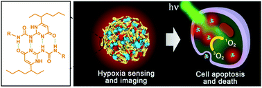 Luminescent supramolecular polymer nanoparticles for ratiometric ...