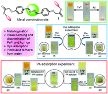 Cholesterol-based diazine derivative: selective sensing of Ag+ and Fe3 ...