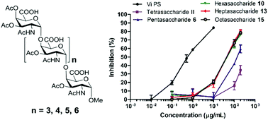 Chemical synthesis and biological evaluation of penta- to octa ...