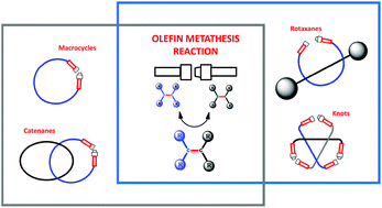 Olefin metathesis reaction as a locking tool for macrocycle and ...