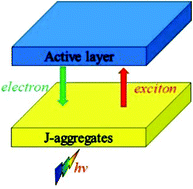 Construction of J-type aggregates as multi-functional interlayers for ...
