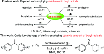 B2pin2-catalyzed oxidative cleavage of a C [[double bond, length as m ...