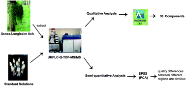 UHPLC-Q-TOF-MS/MS-oriented characteristic components dataset and ...