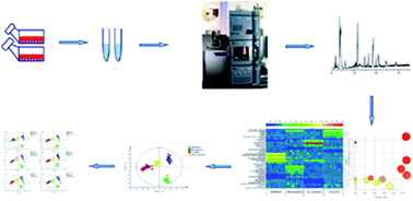LC-MS based cell metabolic profiling of tumor cells: a new predictive method for research on the ...