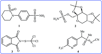 Recent advances in sulfur–nitrogen bond formation via cross ...
