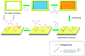 Preparation and characterization of an amphiphilic polyamide nanofiltration membrane with ...