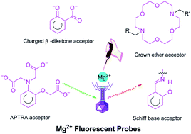 Fluorescent probes for the detection of magnesium ions (Mg2+): from ...