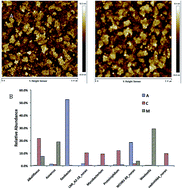 Interaction of bacteria and archaea in a microbial fuel cell with ITO ...