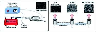 An amperometric glucose biosensor based on PEDOT nanofibers - RSC ...