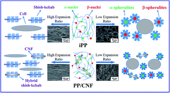 Evolution of cellular morphologies and crystalline structures in high ...