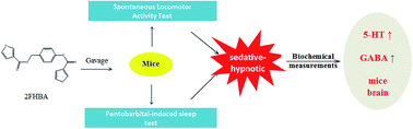 4-Hydroxybenzyl alcohol derivatives and their sedative–hypnotic ...