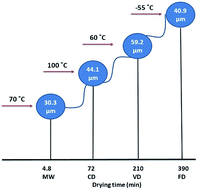 Influences of novel microwave drying on dissolution of new formulated ...