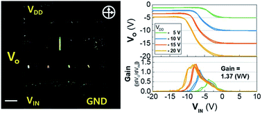 High-performance organic circuits based on precisely aligned single ...