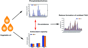 Characterization of endogenous antioxidant attributes and its influence ...