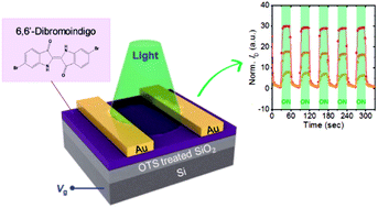 Ambipolar organic phototransistors based on 6,6′-dibromoindigo - RSC ...
