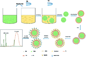 Dual-spectra encoded suspension array using reversed-phase ...