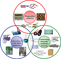 Polymer composites based on hexagonal boron nitride and their ...