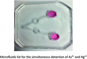New portable smartphone-based PDMS microfluidic kit for the ...