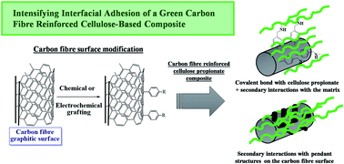 Carbon fibre reinforced cellulose-based polymers: intensifying ...