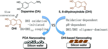 In situ insights into the nanoscale deposition of 5,6-dihydroxyindole ...