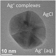 Silver nanoparticles in complex media: an easy procedure to ...