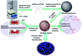Environmentally sustainable route to SiO2@Au–Ag nanocomposites for ...