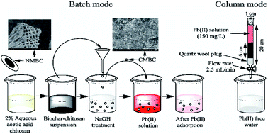 Lead (Pb2+) sorptive removal using chitosan-modified biochar: batch and fixed-bed studies - RSC ...