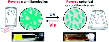 Photoinduced viscosity control of lecithin-based reverse wormlike ...