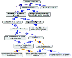 Gene function prediction based on combining gene ontology hierarchy ...
