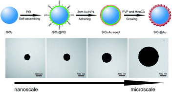 Facile synthesis of high-performance SiO2@Au core–shell nanoparticles with high SERS activity ...