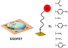 Modification of the gate electrode by self-assembled monolayers in ...