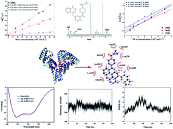Interaction mechanism of olaparib binding to human serum albumin ...